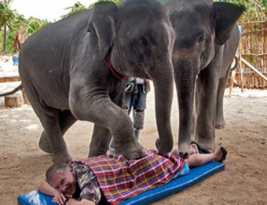 Dünyanın ən təhlükəli massajları – bıçaq, şillə və fillər… – FOTOLAR